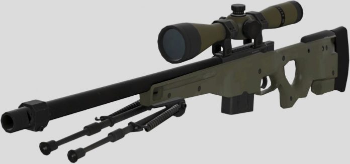 AWP Gun — What does AWP Gun Stand for?